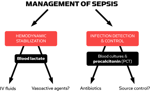 Lactate as an aid in sepsis diagnosis and management - Radiometer